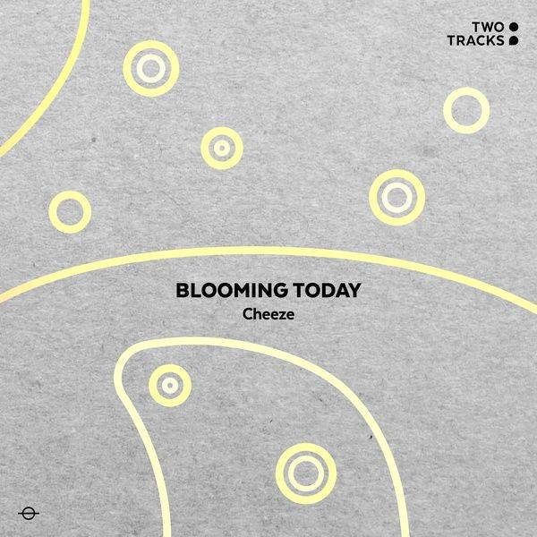 CHEEZE (치즈) - Blooming Today Lyrics » Color Coded Lyrics | Lyrics at CCL